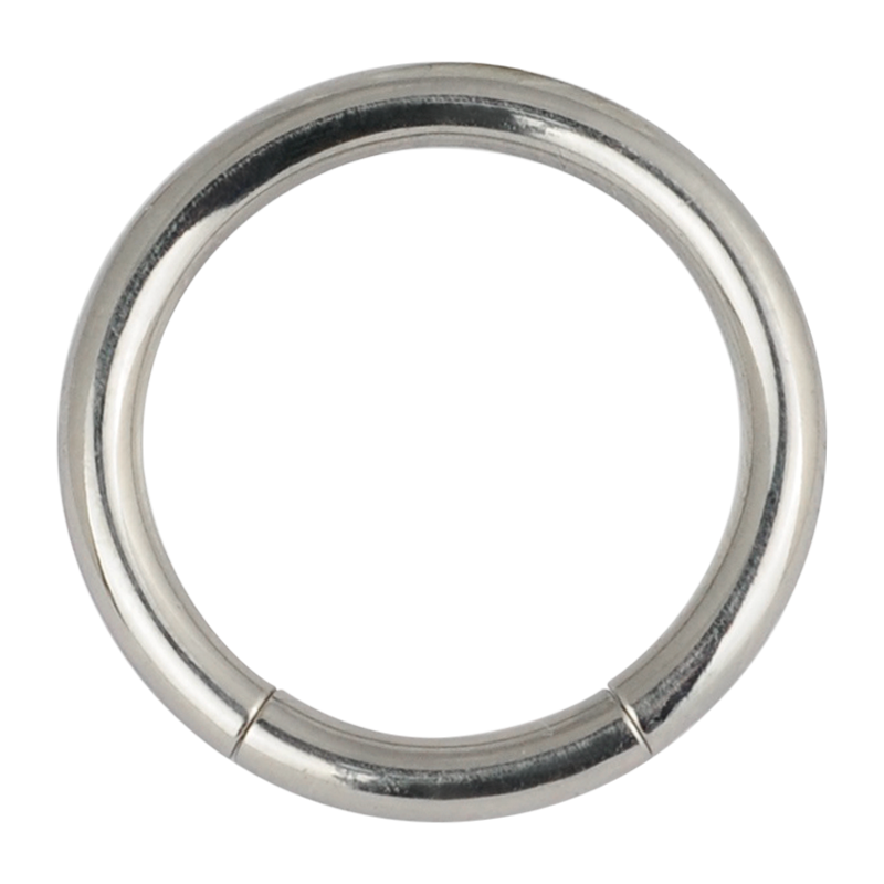 Piercing Supply - Smooth Segment Ring in titanio